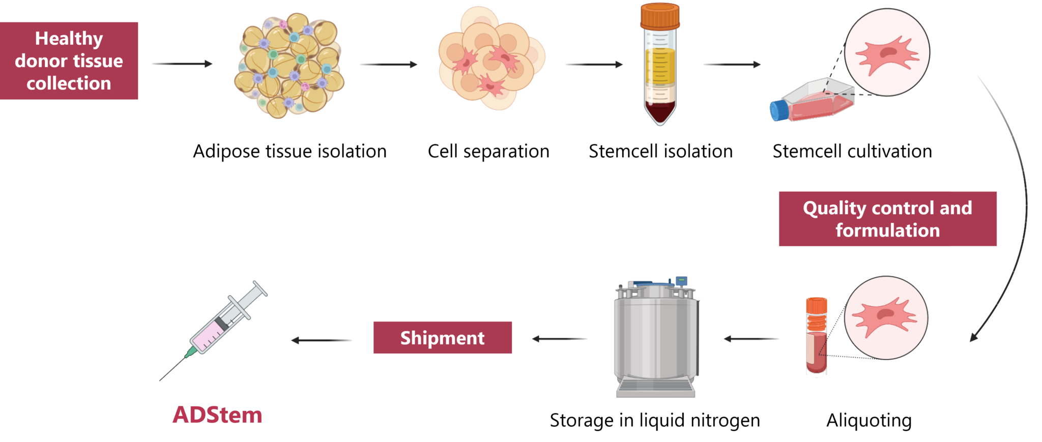 Technology – StemcellX