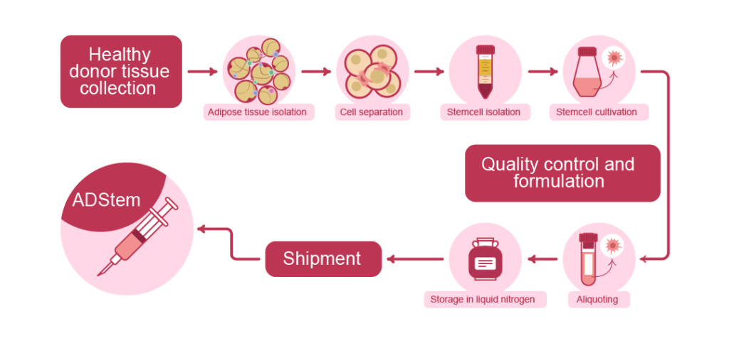 Technology – StemcellX